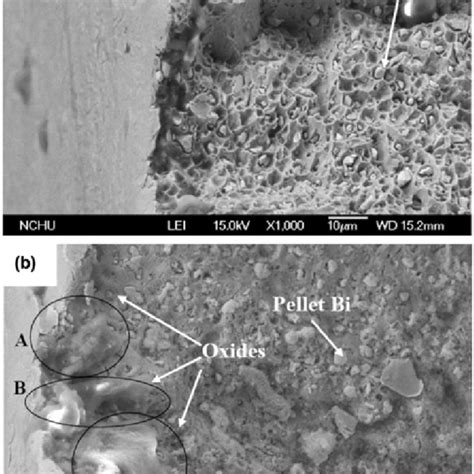 Microstructure In Gauge Region After Creep With Marked Phases Bsem
