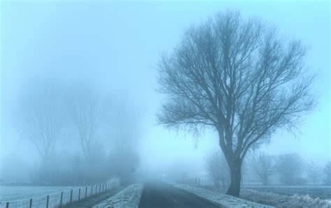 Winter Fog