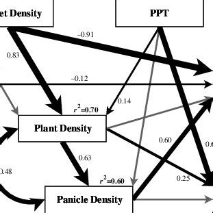 Fitted Latent Variable Model With A Single Indicator For Each Latent