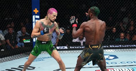 Sean O Malley Stuns Aljamain Sterling By TKO Wins Bantamweight Title