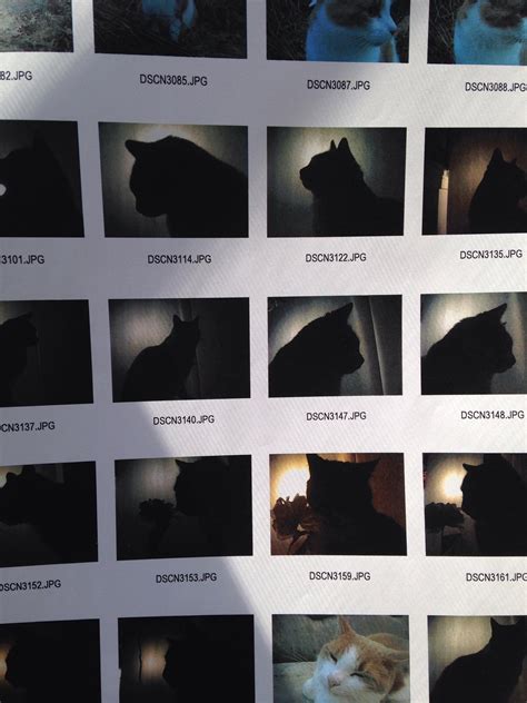 10th Grade Portrait Photography Project I Didnt Have Any Friends So This Was The Result R