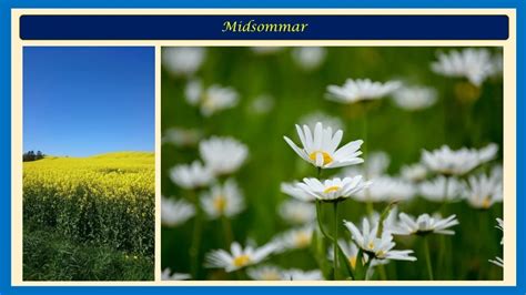 Ppt Midsommar Powerpoint Presentation Free Download Id13361692
