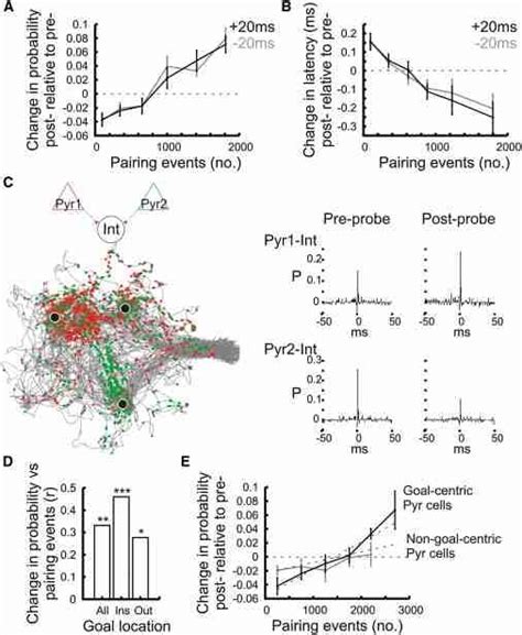 pyramidal cell interneuron pairing activity during learning download