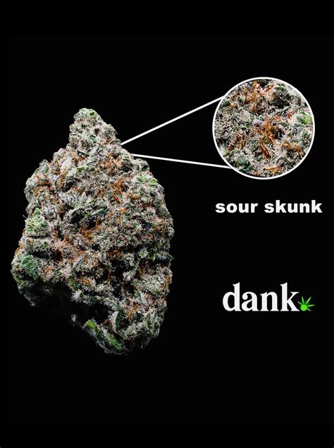 Sour Skunk 20 • Bulk