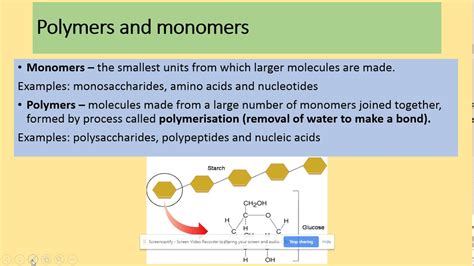 3 1 1 Monomners And Polymers Aqa A Level Biology Youtube