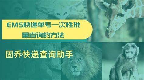 如何批量查快递？怎么快速查询快递物流 哔哩哔哩