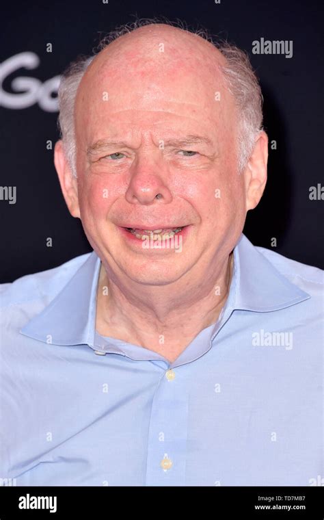 Wallace Shawn At The World Premiere Of The Motion Picture A Toy Story