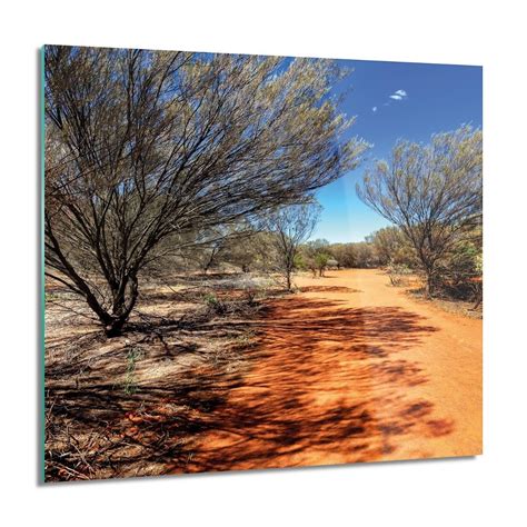 ArtprintCave Drzewa droga Australia Foto szklane ścienne 60x60 cm