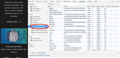 Cómo Saber Qué Cookies Usa Mi Página Web Diligent