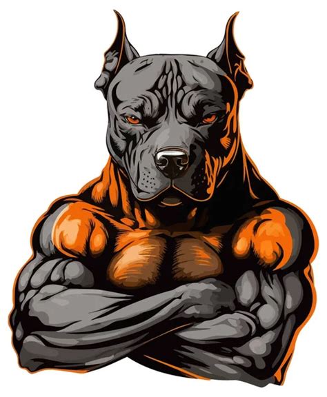Vector Design Strong Pitbull Muscles Crossed Hands White Background