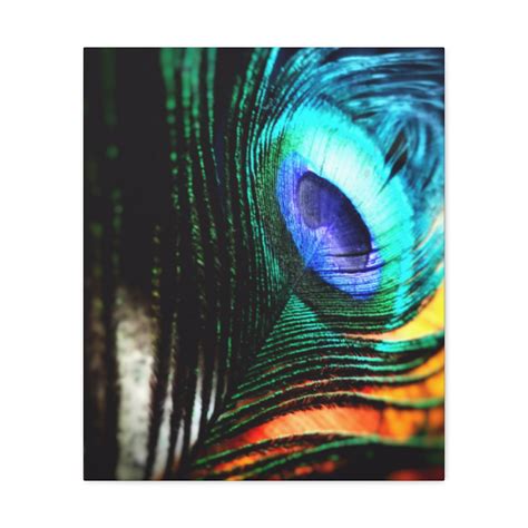 Abstract Peacock Feather Canvas Printpeacock Feathers Canvas Print