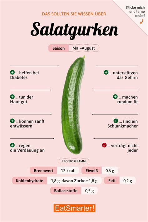 Das solltest du über Salatgurken wissen eatsmarter de ernährung