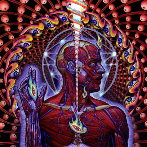 Tool Aenima Album Cover Artist Jujaslick