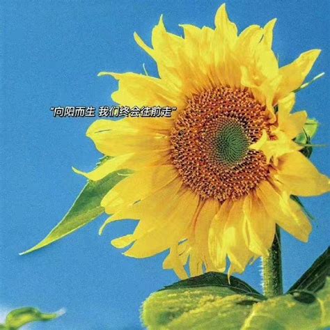 Sap的云转型背景下，abap会被淘汰吗？ 知乎