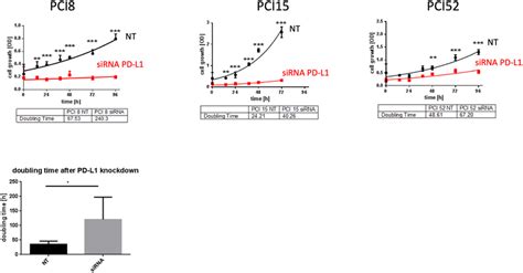 Pd L1 Function In Rr Cell Lines A Wst 1 Viability Assay After Sirna Download Scientific