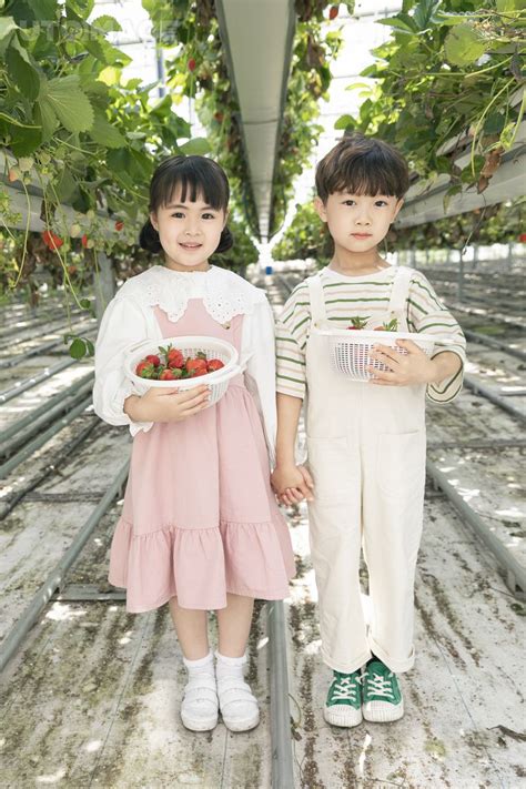 상큼 달콤 딸기농장 딸기 농장 사이에 서서 손을 마주 잡고 딸기 바구니를 들고있는 귀여운 어린이들 Pho742 유토이미지