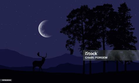 현실적인 그림의 숲과 침 엽 수림 별과 초승달보라색 밤 하늘 아래 산 풍경에 사슴 실루엣 벡터 0명에 대한 스톡 벡터 아트 및 기타 이미지 Istock