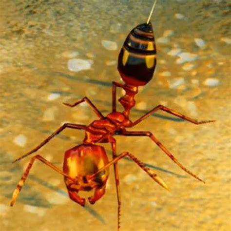 Scratch Coding Make Games With Scratch Create Learn