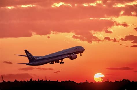 応募作品地平線に沈む太陽をバックに離陸する飛行機 太陽が別の国を照らしに行くように飛行機も別の国へ旅をする そんな想像を膨らませながら