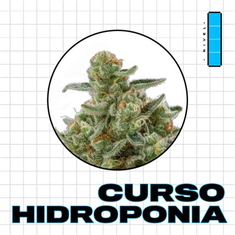 Inscripción al Curso de cultivo principiante Cosechalibre