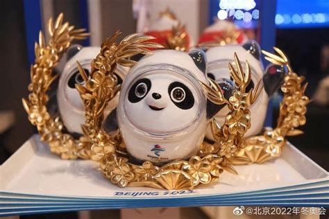 冬奥冰墩墩英文名叫bingdwendwen？ 知乎