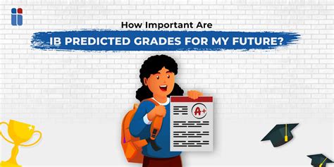 How Important Are Ib Predicted Grades For My Future