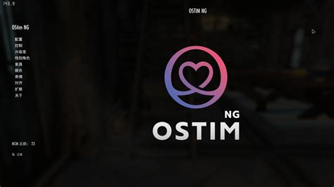Ostim Ng Osa Overhaul And Api Next Gen Simplified Chinese Translation At Skyrim Special