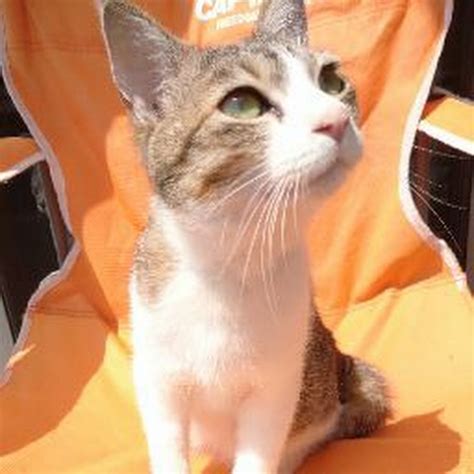 まがたまチャンネル Youtube