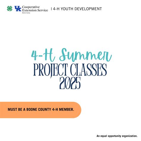Large Shelf Project 4 H Summer Project Class 2025 Boone County