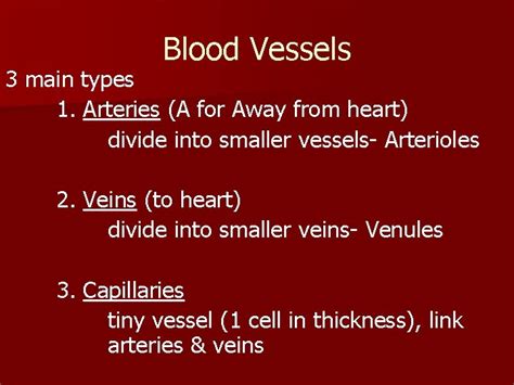 Open Vs Closed Circulatory System N Open Ended