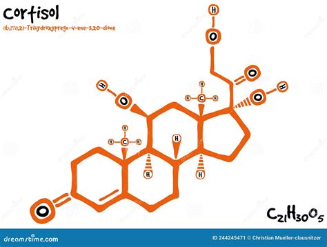Drawn Molecule And Formula Of Cortisol Stock Vector Illustration Of Biology Elements 244245471