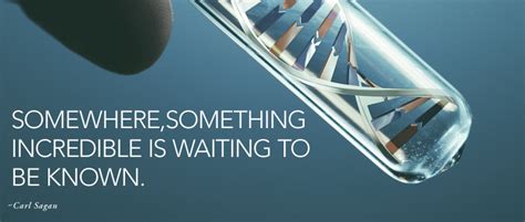 Structure Of Biochemical Compounds SBI 4U Website