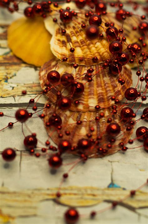 Red Beads And Seashells On Behance