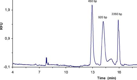 Electropherogram Of Multiplex Pcr Amplified Products Using Abd