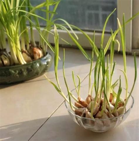 為什麼是「買東西」而不是「買南北」？原因竟然是 每日頭條