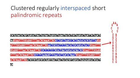 Crispr