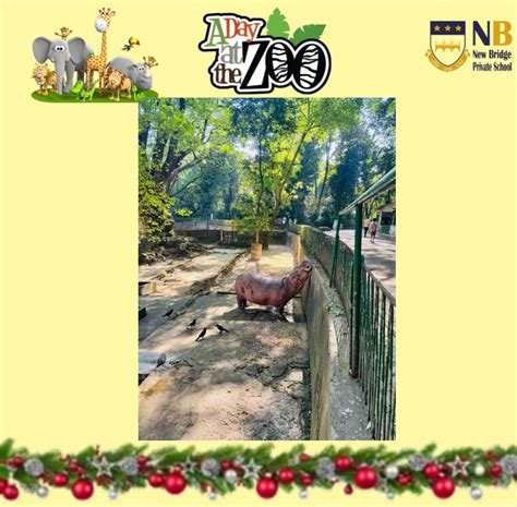 New Bridge Private School ရာသီဥတု အကူးအပြောင်းမှာ ကလေးတွေအတွက် ကြိုတင