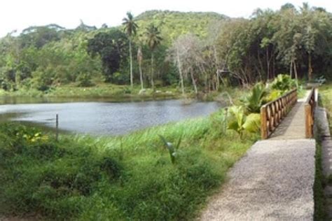 Seychelles Restored Wetland Dan Sours Named New Site For