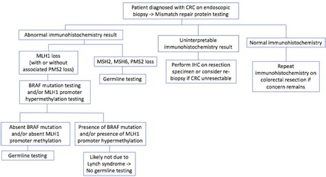 Flowchart Algorithm Suggested Management Approach In Patients With