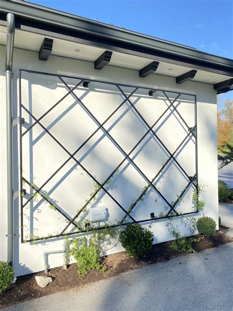 Black Metal Trellis Ideas On Artofit
