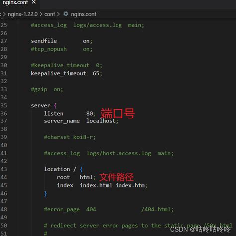 Nginx安装 Csdn博客