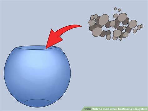 4 Ways To Build A Self Sustaining Ecosystem Wikihow