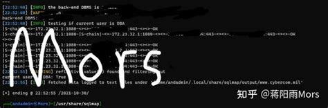 浅谈代理神器proxychains：渗透国外站且环境只允许终端（如wsl）时的代理解决方案 知乎