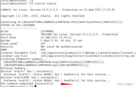 Oracle19c安装以及问题汇总ubuntu安装oracle19c Csdn博客