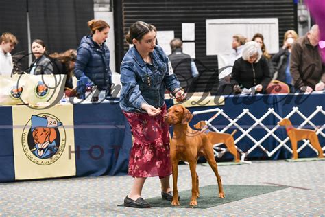 Pee Wee And Jr Showmanship Sat Apr 27 2024 Candid Photos Terri Hirsch