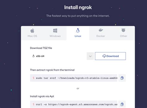 Linux Using Ngrok To Set Up A Temporary Server And Forward The Port