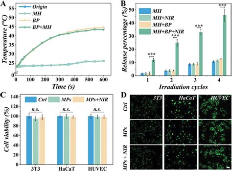 The In Vitro Drug Release Profile And Biocompatible Experiment A The