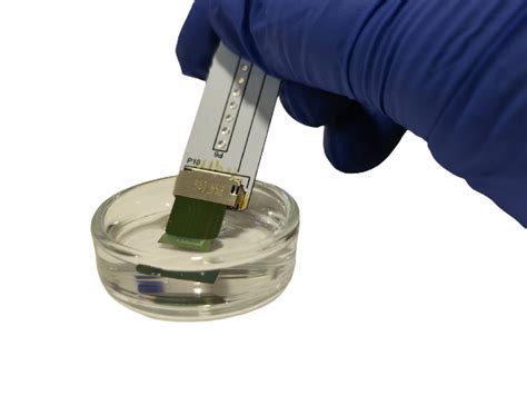 Biovici Graphene Dip Chips — Biovici