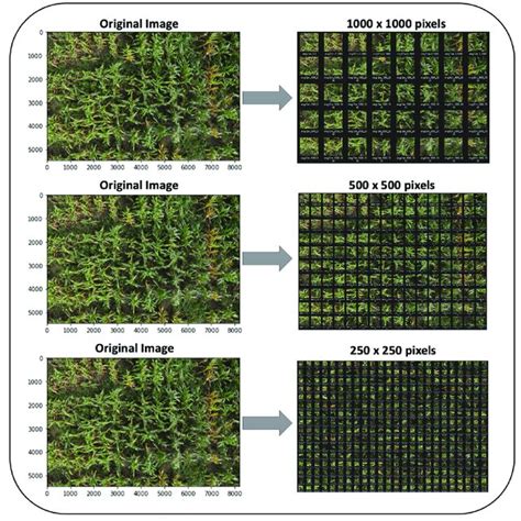 overall tile dataset generation workflow download scientific diagram
