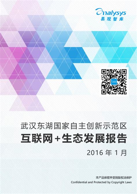 武汉东湖国家自主创新示范区互联网生态发展报告